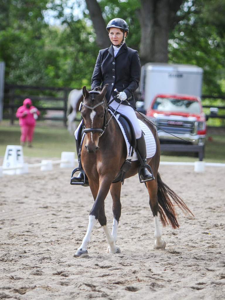 Dressage Shows – Pine Lake Stables