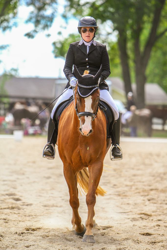 Dressage Shows – Pine Lake Stables