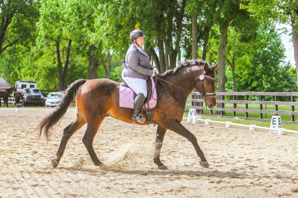 Dressage Shows – Pine Lake Stables
