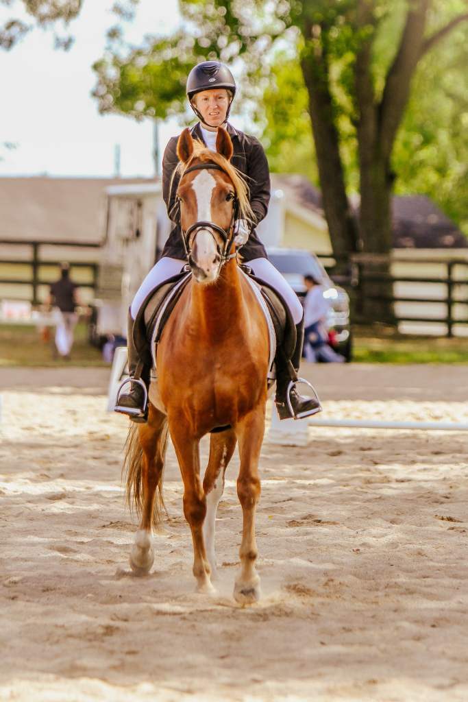 Dressage Shows – Pine Lake Stables